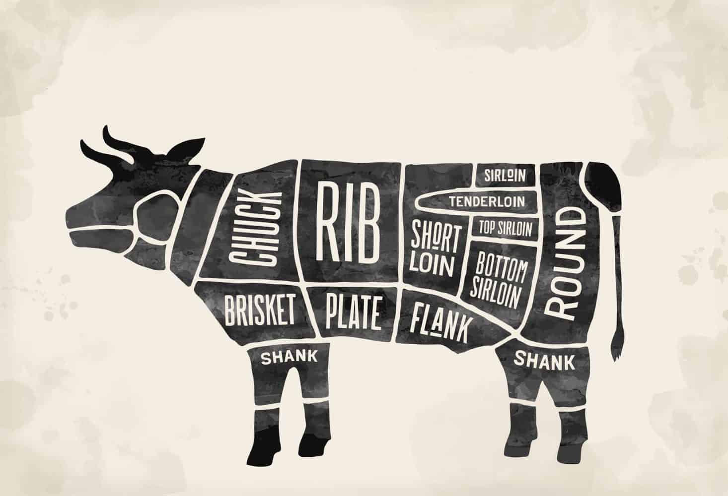 Primal Cuts Of Beef And How To Cook Them Grillsimply